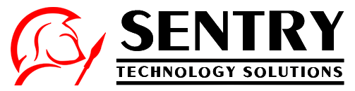 Boost Profit, Security, Productivity & Innovation with Sentry